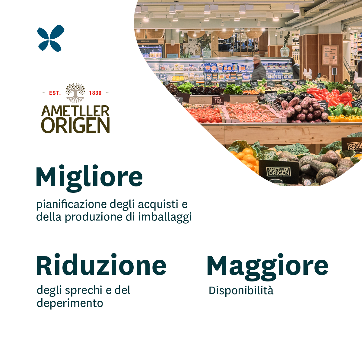 Caso Ametller Origen | RELEX Solutions