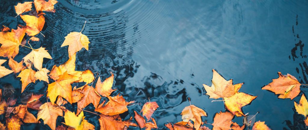 More efficient seasonal inventory management | RELEX Solutions