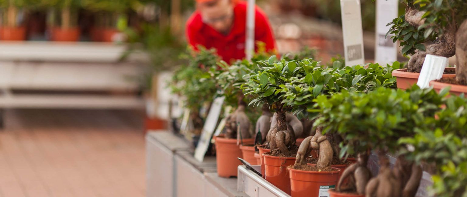 Workload Forecasting Software | RELEX Solutions