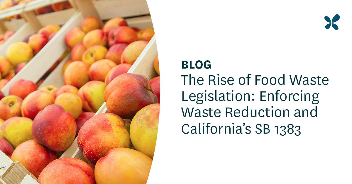 The rise of food waste legislation: Enforcing waste reduction and ...