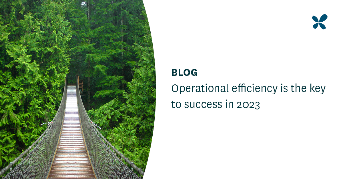 Operational Efficiency Meaning