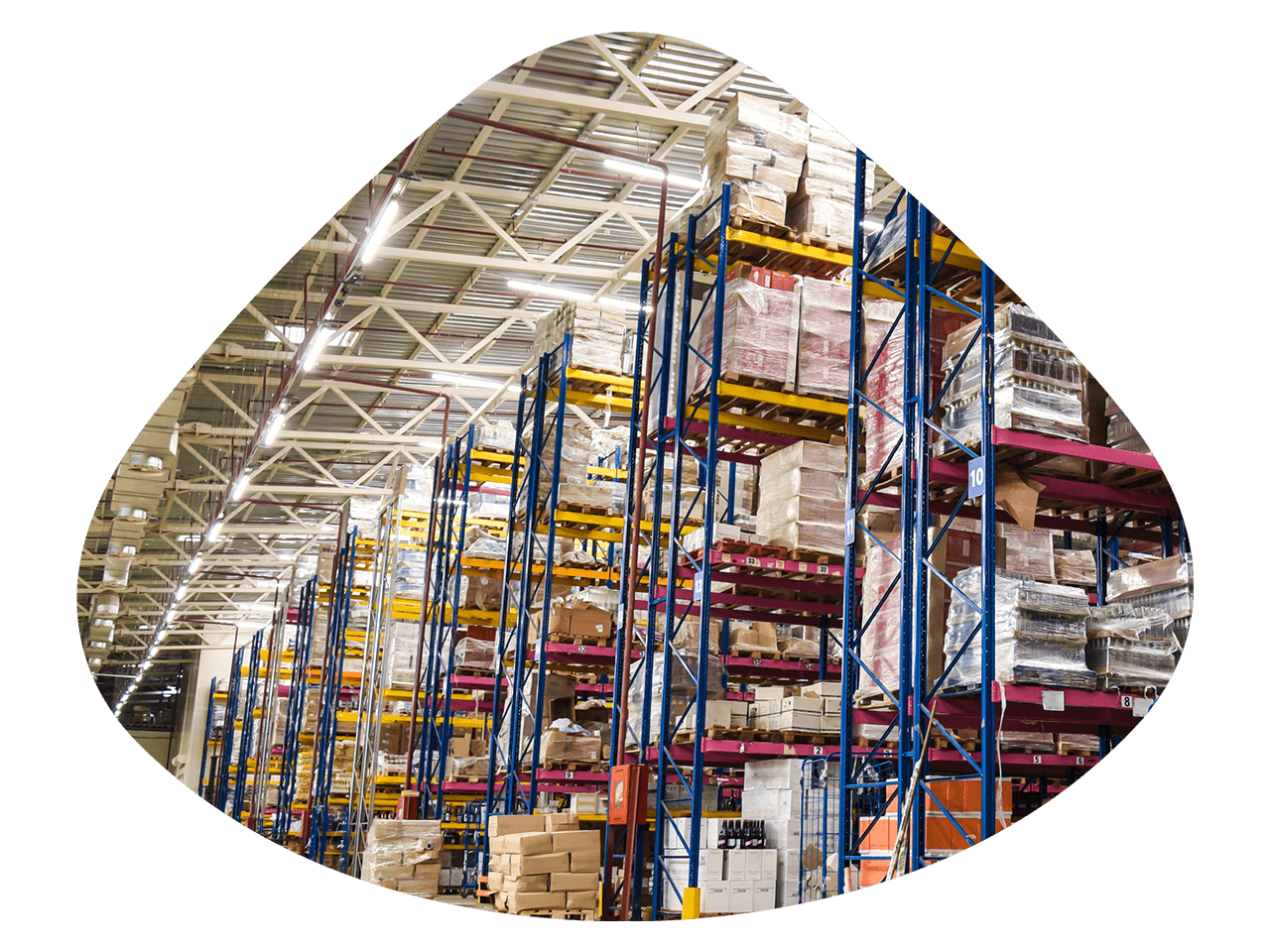 RELEX for Grocery and Foodservice | RELEX Solutions