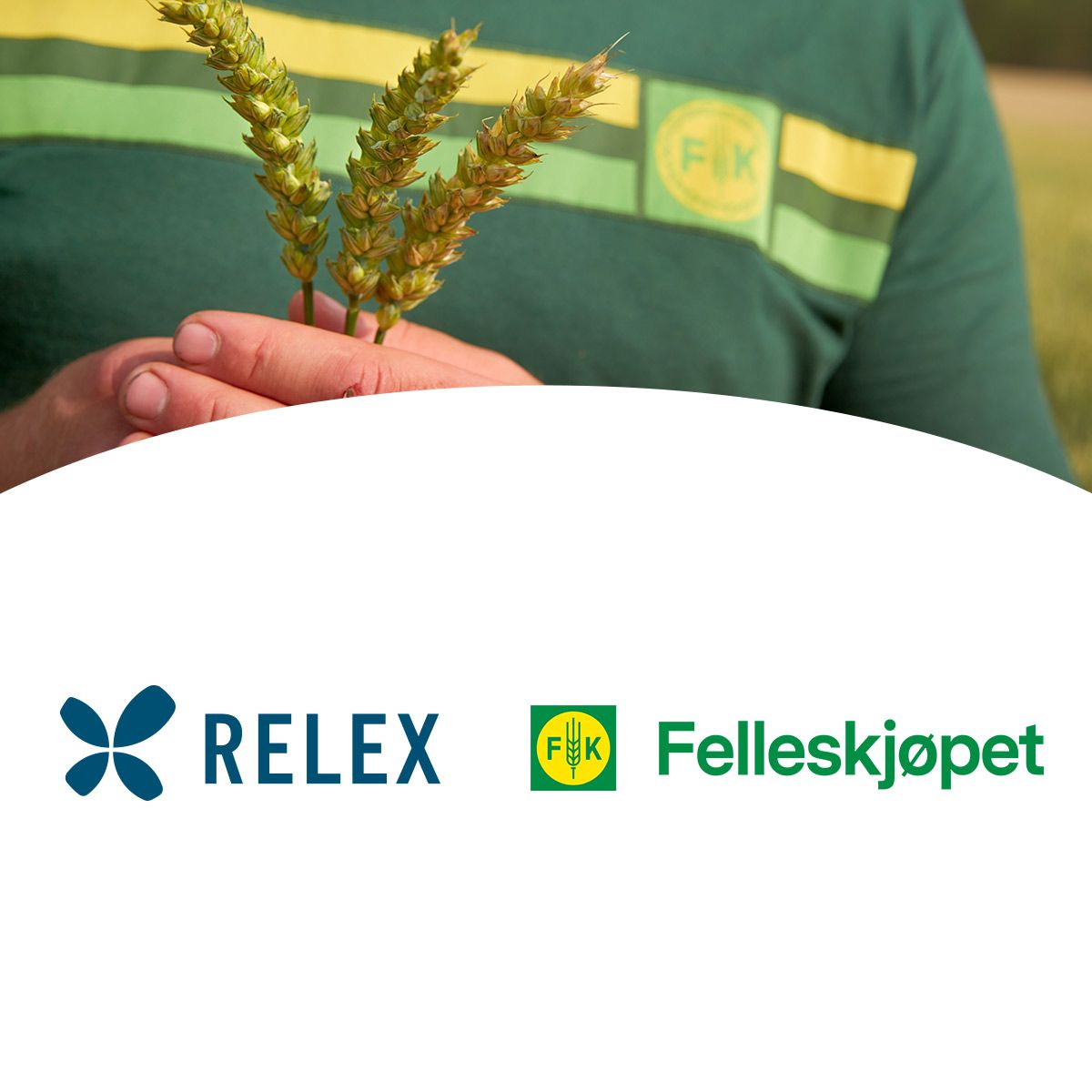 Felleskjøpet Agri Tackles Inventory Challenges with RELEX | RELEX Solutions