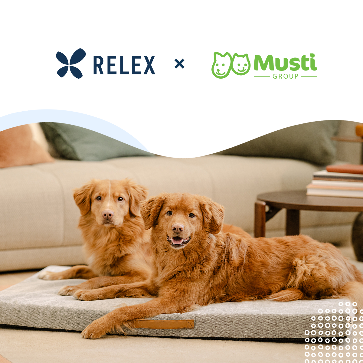 Musti Group Unifies Retail Planning Processes with RELEX Solutions ...