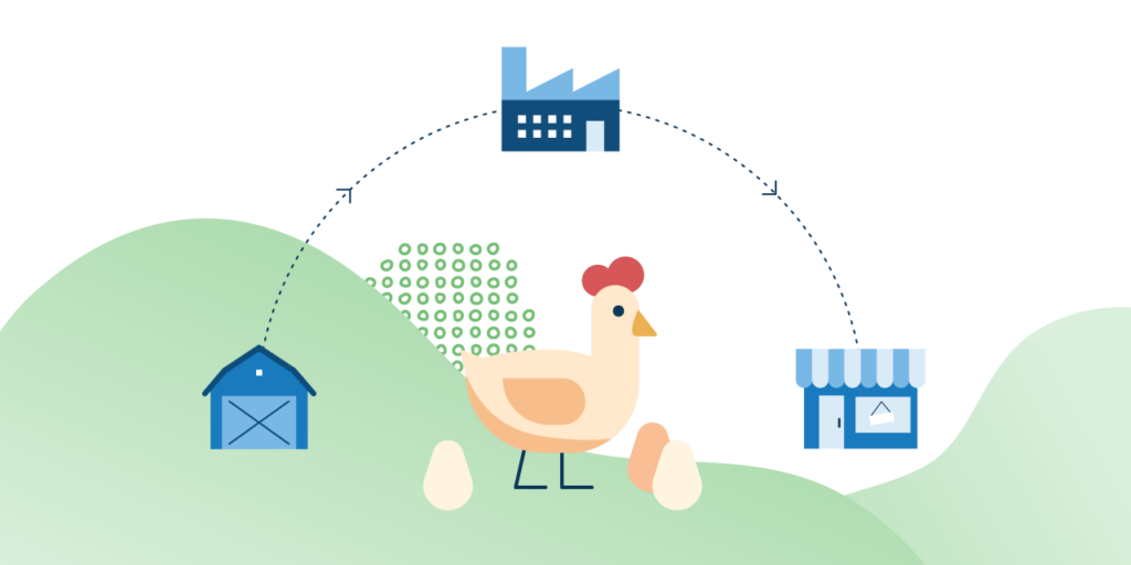 10 ways to elevate the poultry supply chain practices | RELEX Solutions