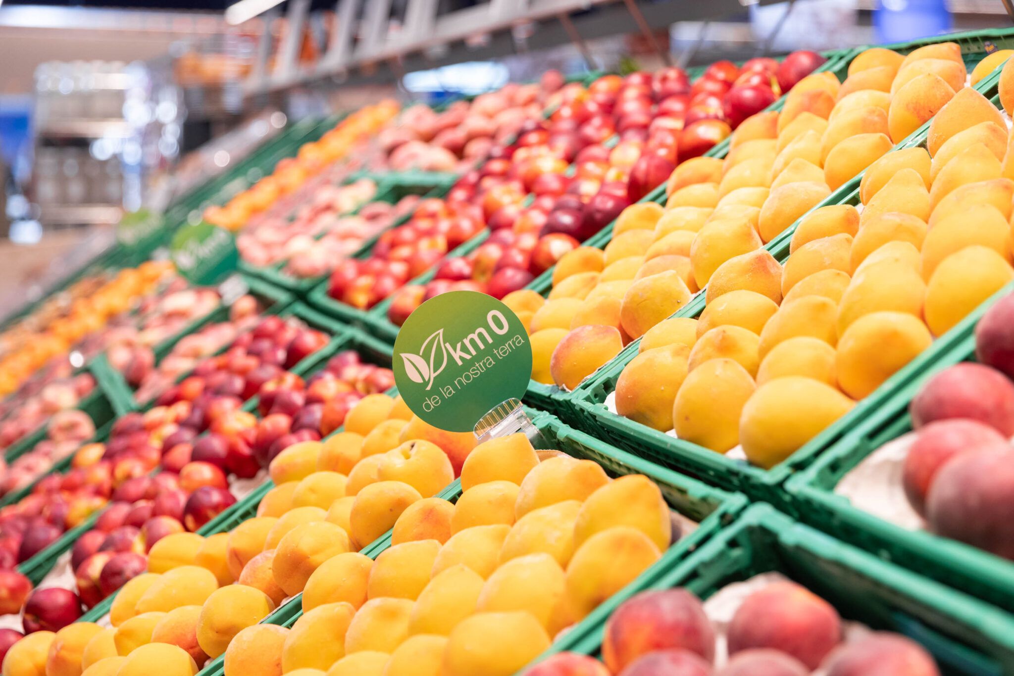 Bon Preu Group Optimizes their Distribution Operations with RELEX ...