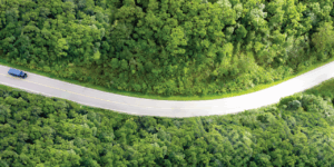 Retail price optimization: The complete guide to maximizing performance | RELEX Solutions